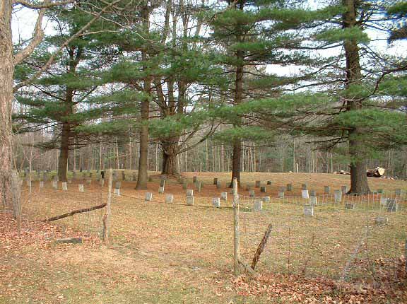 Sheldon Poor Farm Cemetery | Sheldon Historical Society